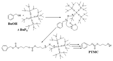 Ring Opening Polymerization Of Trimethylene Carbonate With Phosphazene