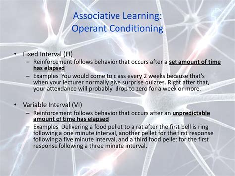 Conditioning And Learning Ppt Download
