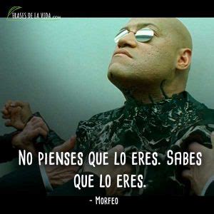60 Frases de Matrix Otra realidad es posible con imágenes