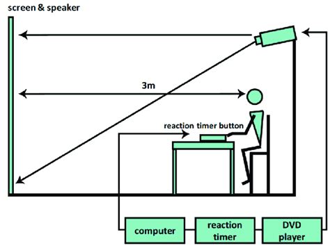 Experimental Setup Of Reaction Function Note Subjects Were Asked To