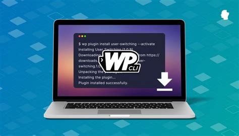 The Complete Guide To Installing Wp Cli Delicious Brains