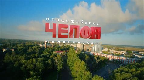 ЧЕПФА - YouTube