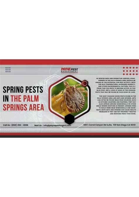 Orange County Pest Control San Diego Pest Inspection By Payne Pest