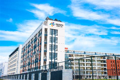 光明区建筑工务署高效推进5所学校全部落成交付 深圳政府在线深圳市人民政府门户网站