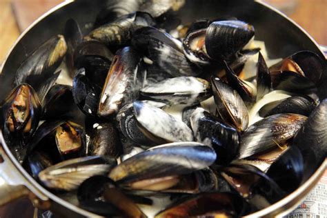 홍합요리 물르 벨기에 스타일