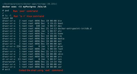 Fooling Around With Docker Cli Commands With Postgresql Image To The