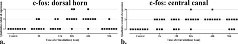 Diagrams Visualizing The Qualitative Scoring Of The Proportion Of C Fos Download Scientific