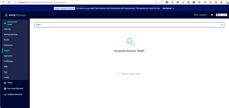 Can Not Find Custom Plugin In Kong Manger Kong Gateway Kong Nation