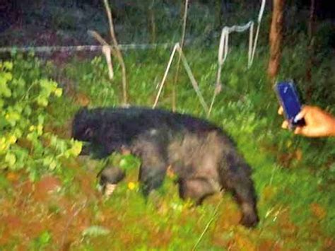 The Farmer Did Not Agree Even After Refusing The Current Applied In The Fencing Of The Field