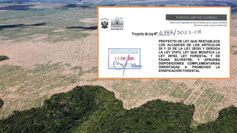 Presentan Proyecto En El Congreso Para Derogar Modificaciones A La Ley Forestal Que Favorece