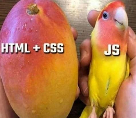 Html Css Vs Javascript The Mango And The Parrot ·