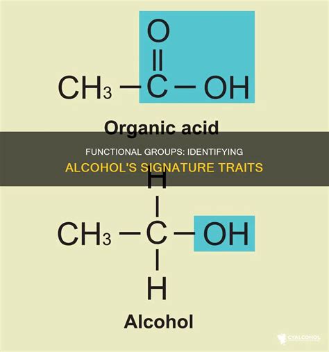 Functional Groups Identifying Alcohols Signature Traits Cyalcohol