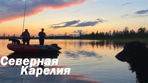 Мелкая речка, а рыбы полно. Проверяем самоловки. Северная Карелия ...