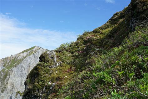 大山剣ヶ峰 2021 6 5土 ゆうさんの山 Ⅲ