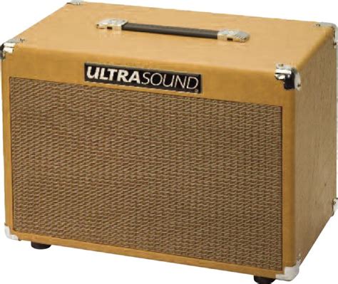 Ultrasound Xtc 50w 2x8 Acoustic Guitar Speaker Cab