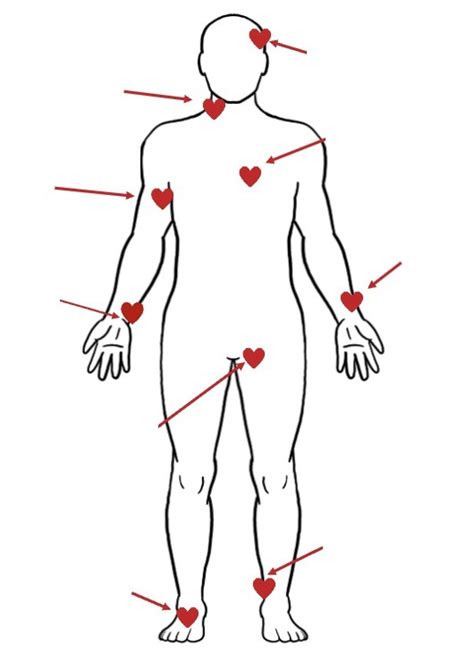 Funds Exam 3 Diagram Quizlet