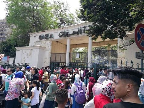 مصر تنفي تجريف أشجار حديقة الحيوان صحيفة الخليج