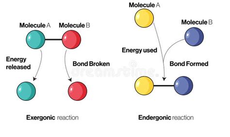 Activation Energy Reaction Stock Illustrations 22 Activation Energy