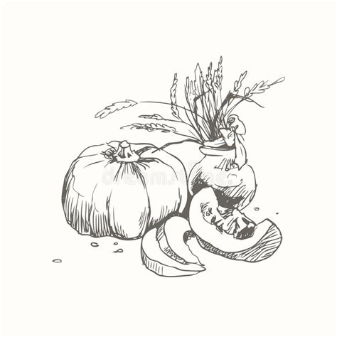 传染媒介线艺术例证用食物 手图画剪影 在倾吐的餐馆沙拉的主厨概念食物新鲜的厨房油橄榄 向量例证 插画 包括有 艺术 线路 103544077