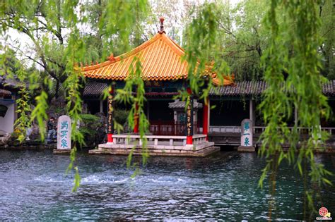 连日降雨，“天下第一泉”济南趵突泉地下水位回升6厘米 济南社会 舜网新闻