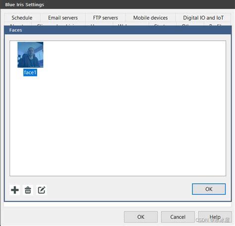 Codeproject Ai Blue Iris Csdn
