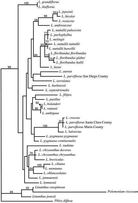 maximum likelihood phylogram for its dataset Àlnl¼2629 91 values above