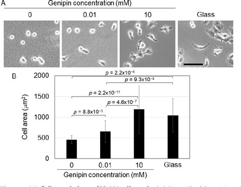 Figure 2 From Stiffness Modulation Of Collagen Gels By Genipin