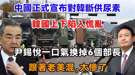 中國正式宣布對韓斷供尿素，韓國上下陷入慌亂，尹錫悅一口氣換掉6個部長，跟著老美混，太慘了 Youtube
