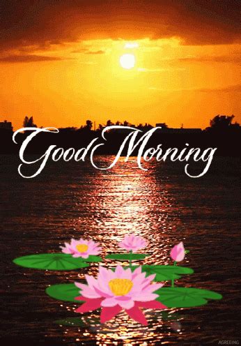 Start Your Day With A Beautiful Good Morning  Good Morning  For