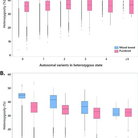 The Relationship Between Genome Wide Genetic Heterozygosity And