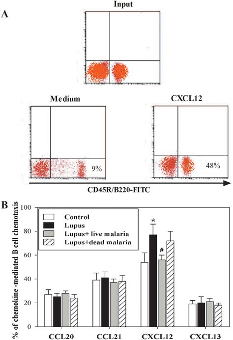 Modulation Of Chemokine Mediated Chemotaxis Of B Cells Of Download