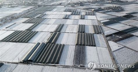 내일날씨 전국 미세먼지 보통늦은 오후 눈소식