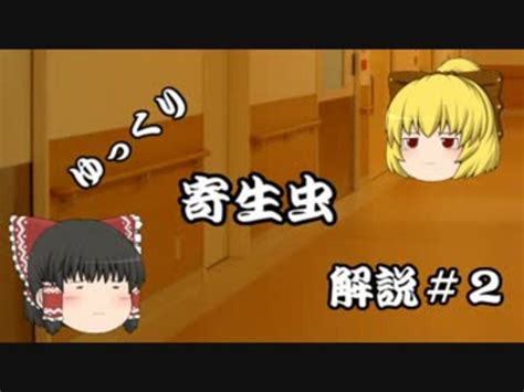 【ゆっくり解説】ゆっくり寄生虫解説2~日本海裂頭条虫~ ニコニコ動画
