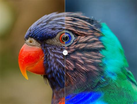 Zukhriddin Ruziev On Linkedin Rgb Vs Bgr Relationships Between Color Depth Pixel And Bytes