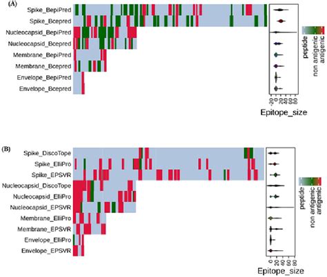 Pdf Potential Immune Epitope Map For Structural Proteins Of Sars Cov 2 Semantic Scholar