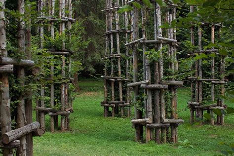 8 Extraordinary Pieces Of Architecture Grown From Living Trees Atlas Obscura 8 Extraordinary Pieces Of Architecture Grown From Living Trees Atlas Obscura