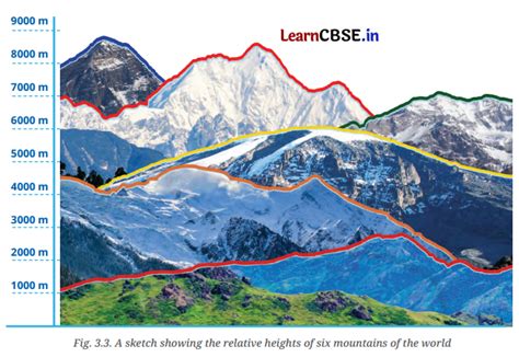Landforms And Life Class 6 Notes Social Science Chapter 3 Learn CBSE