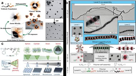 Self Assembly Of Triblock Terpolymers A Schematic Representation Of