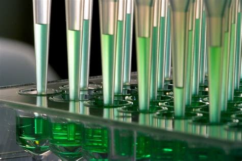 Proximity Extension Assay Pea Protocol R Microbiology