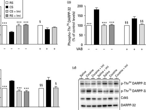 Levels Of A Phospho Thr 34 B Phospho Thr 75 Darpp 32 And C Cdk5