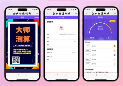 D2825 八字姻缘测算源码 起名配对源码 塔罗占卜源码 流年运势测算源码 流年财运测算源码 企业猫源码网