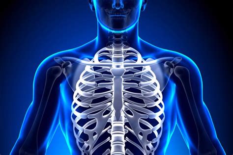 What Is First Rib Dysfunction Blackberry Clinic