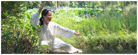 Tai Ji Quan Tai Chi Chuan Avec Maitre YUAN Zumou Dans Le 78