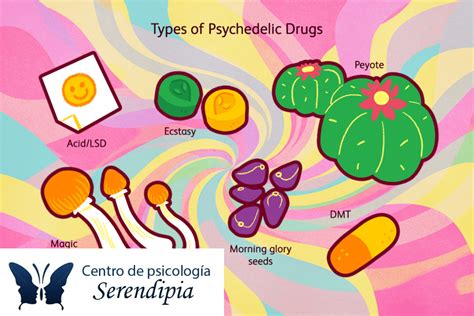 ¿qué Son Las Drogas Psicodélicas Centro Serendipia