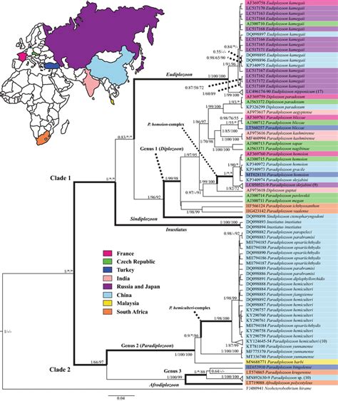 bayesian inference analysis tree based on all available its2 rdna