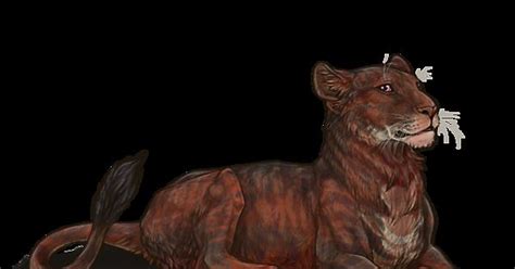 Imgur The Magic Of The Internet