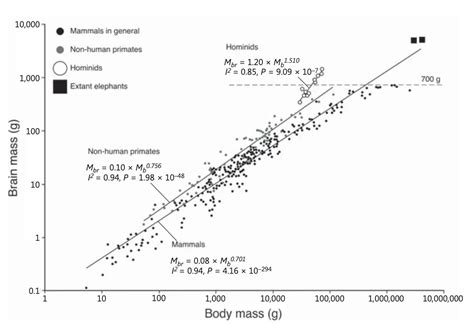 Understanding Multimodal Llama 3 2 Architecture Medium