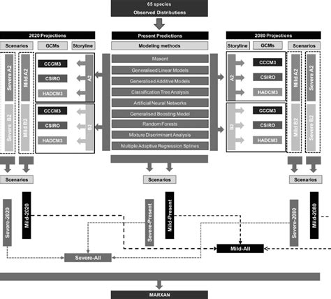 Schematic Representation Of The Methodology Used To Build The Species