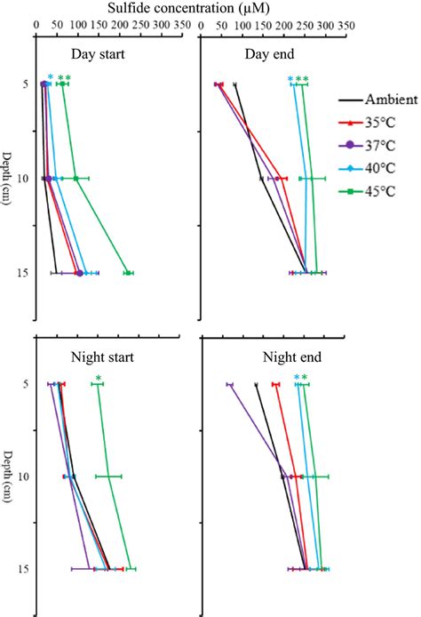 Profiles Of Pore‐water Sulfide Concentration In Sediment With Respect Download Scientific