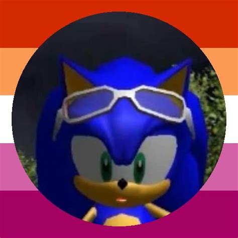 Is Lesbian Sonic Canon Lesbian Flag Lesbian Sonic